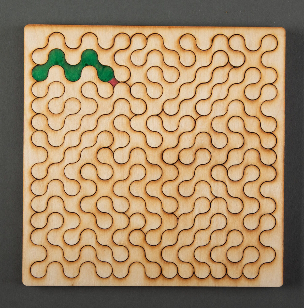 Snake in the Grass puzzle - White Rabbit Gameworks